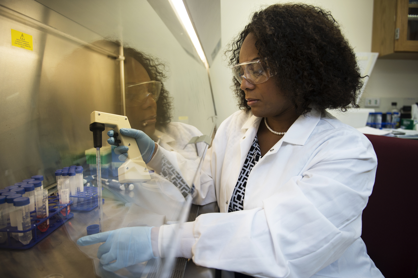 STARS Fellowships | PhD Graduate Education at Northeastern University