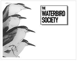 Waterbird Society - Research Grants | PhD Graduate Education at ...