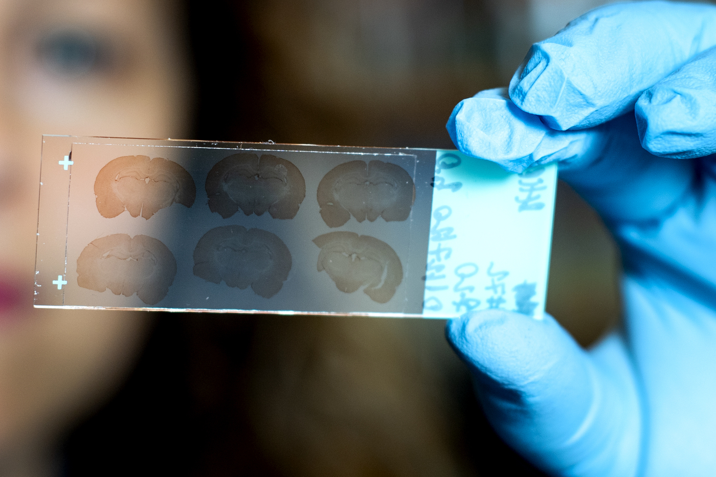 A Cross-Disciplinary Science Combined PhD | PhD Graduate Education at ...